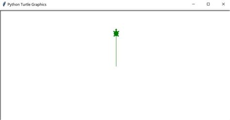 What Are Turtles In Python And How Do They Work What Are Turtles In Python And How Do They Work