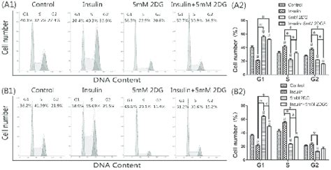 Flow Cytometry In Analysis Cell Cycle Cell Cycle Distribution Of