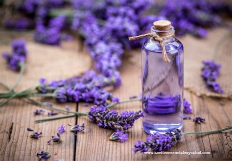 ACEITE ESENCIAL DE LAVANDA USOS Y PROPIEDADES Aceites Esenciales Y Salud
