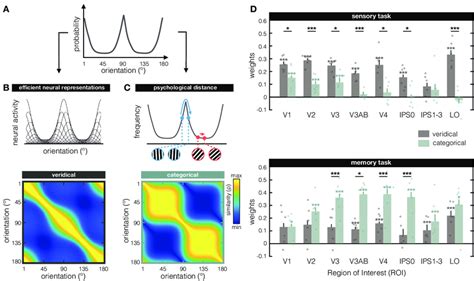 Modeling The Representational Similarity Of Perceived And Remembered