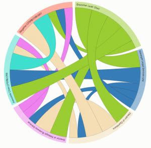 D3 Js Chord Chart Experiment MantasCode