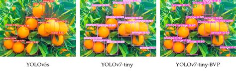 figure 11 from optimizing the yolov7 tiny model with multiple