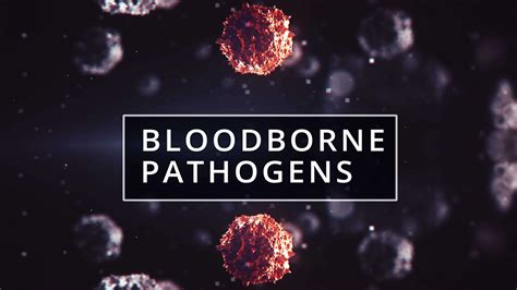 Bloodborne Pathogens Osha Shipyard Training