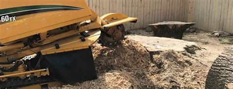 No Need To Be Stumped About Tree Removal Any Longer Every Single Topic