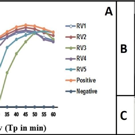 Schematic Diagram Of Primers Used In The Rt Lamp Assay And The Download Scientific Diagram