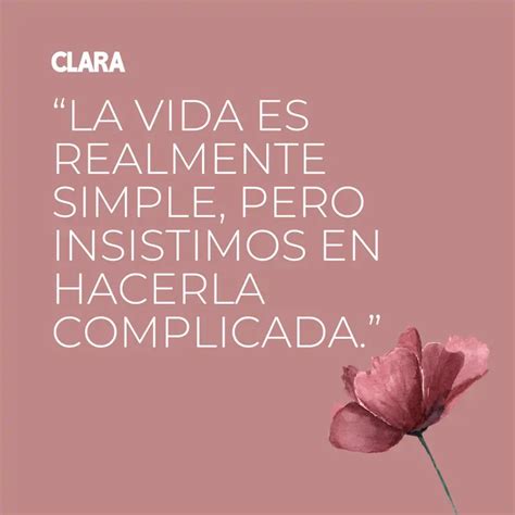 250 Frases Positivas Que Te Animarán El Día