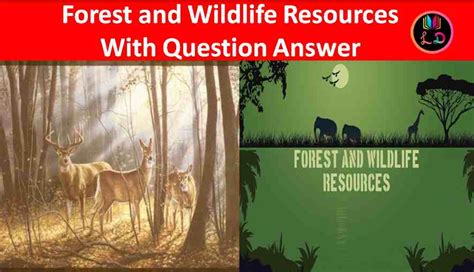 Class 10th Geography Chapter 2 Forest And Wildlife Resources Mcq With