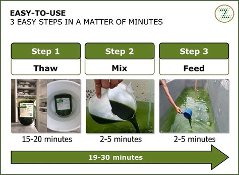 Zinaya Algal Paste Madaling Gamitin Easy To Use Aquaculture