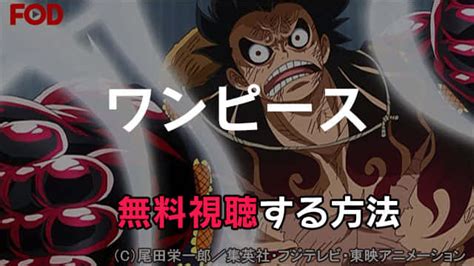 アニメワンピースが見放題できる動画配信サービス見逃し配信はいつ みやちまん