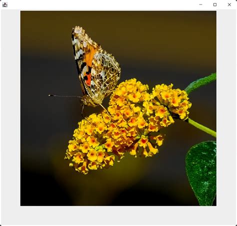 Java 中的 ImageIO D棧 Delft Stack
