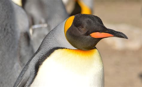 Server Administration Course Part 1 Managing A Linux Server