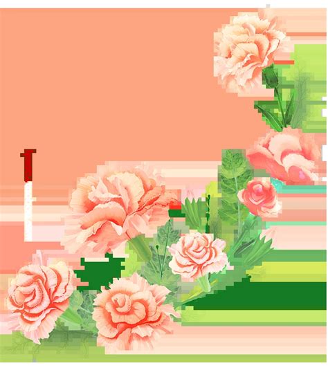 感恩节母亲节康乃馨鲜花免抠png：图片【花 叶子 Png】图片素材 花瓣网