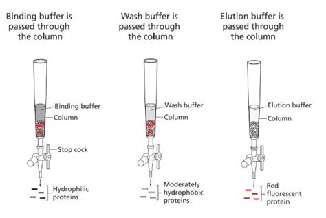 Column Chromatography Images