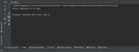 cs 110 how to program