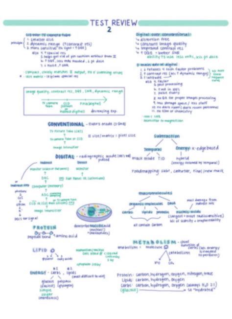 Rad Tech Physics 2 Bundle Review Pdf Digital Download Radiology