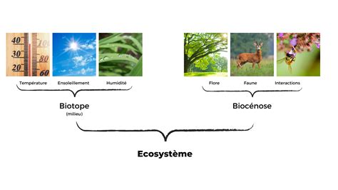 Décryptage De La Biodiversité Concepts Fondamentaux Et Enjeux Plantc