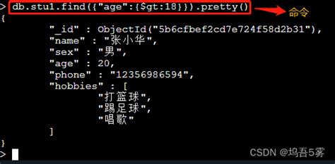 分布式数据库nosql二——mongodb 数据库基本操作第4关文档操作二 Csdn博客