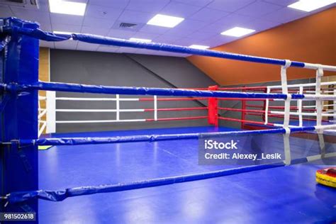 권투 체육관 피트 니스 센터에서 훈련 복싱 홀입니다 펀칭 백입니다 권투 링입니다 빈 복싱 홀 0명에 대한 스톡 사진 및 기타 이미지 Istock