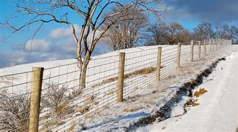 Fence Post Spacing A Step By Step Guide