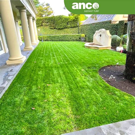 Anco Instant Turf On Linkedin Anco Ancoturf Turflawn Naturalturf