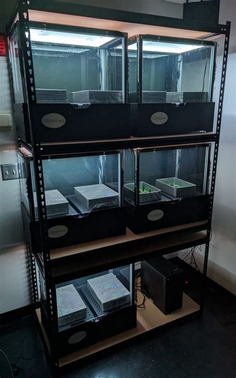 Introducing LabsLand Prism4 LabsLand Blog