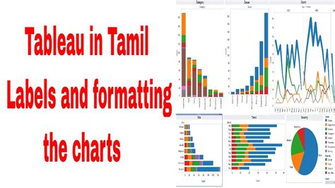 Tableau Labels And Formatting The Charts Tableau In Tamil Vathiyar