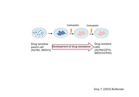 Generation Of Resistant Cell Line Biorender Science Templates