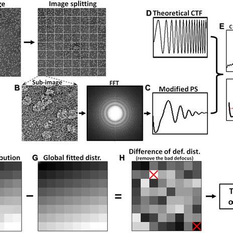 Schematics Of The Relationship Between The Optic Axis And Tilt Axis Download Scientific Diagram
