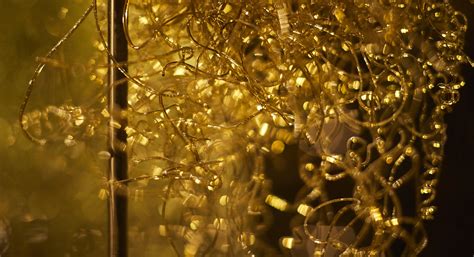 Crying Willow — Jeremy Maxwell Wintrebert