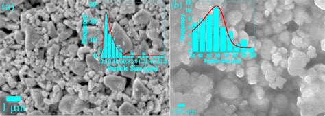 A Sem Micrographs Of Scbo B Fesem Micrographs Hcbo With Particle