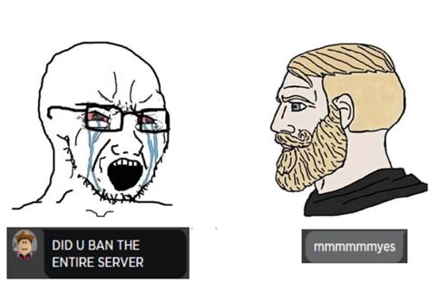 Whole Server Banned Soyjaks Vs Chads Know Your Meme