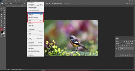 Easy Image Sharpening With Unsharp Mask In Photo Shop Clipping Images