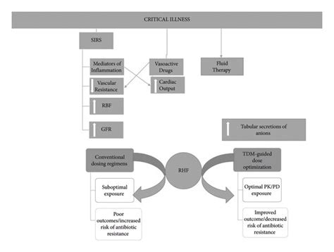 Causes And Consequences Of Augmented Renal Clearance In Critically Ill