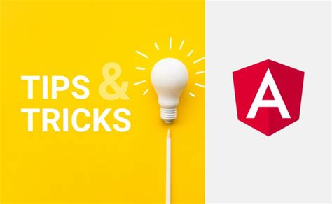 Maryam Ghoreishi On Linkedin Angular Softwaredevelopment