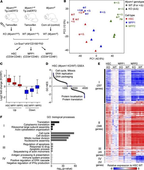 Rna Seq Power Calculation Calculator Hgw