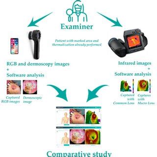Schematic Representation Of The Steps Performed To Capture And Analyze