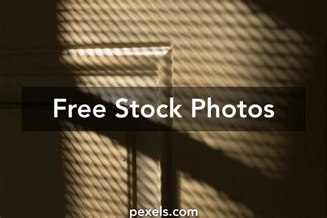 Window Netting Photos Download The Best Free Window Netting Stock