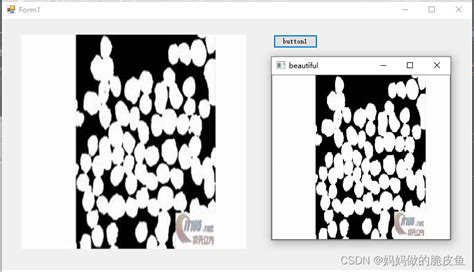 c 向c opencv 实现双向图像数据传递，以及内存空间申请与释放问题 c 给c 传图片处理 csdn博客