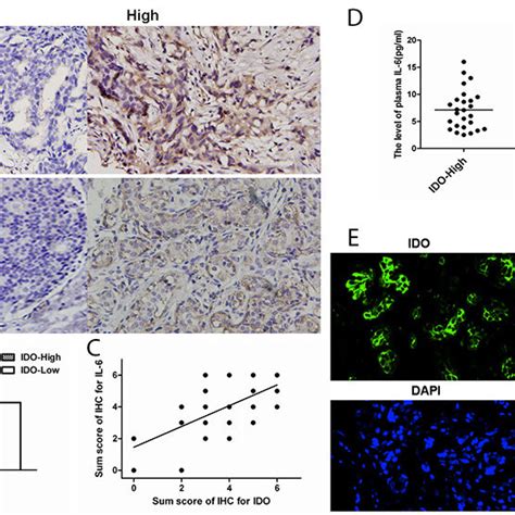The Association Between Ido Il 6 Expression And Plasma Il 6 Level A