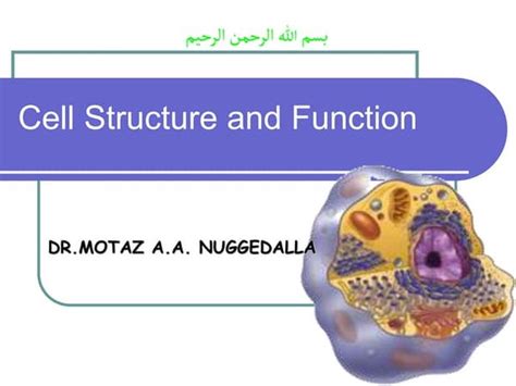 Cell Structures Docx