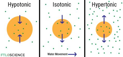 Sce And Fd Calculations For Isotonic Solutions Ftloscience