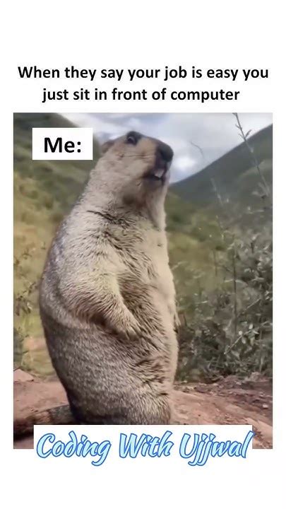 Me 🤣 🤣 Code Foryou Meme Developer Programmer Coding Job Jobs Funny Youtube