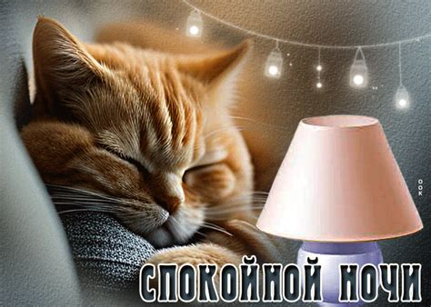 Волшебная открытка с котиком Спокойной ночи Скачать бесплатно на