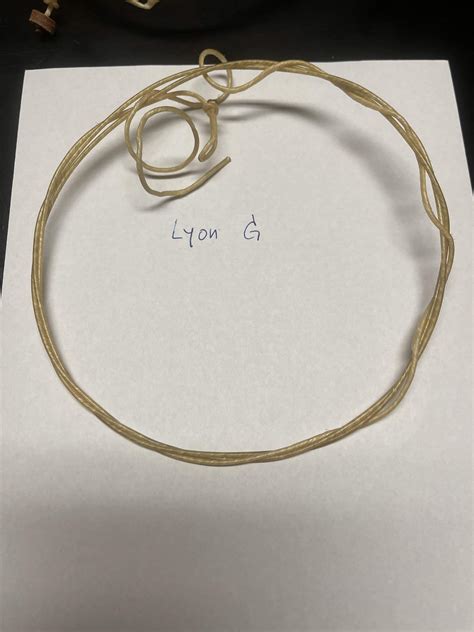 Sold Gamut Lyon G Strings 2 Reduced