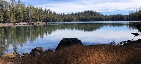 Caribou Wilderness Area Trails California 21 Reviews Map Alltrails