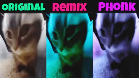 Chipi Chipi Chapa Chapa Original Vs Phonk Vs Remix All Version Youtube
