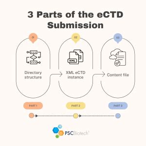 Difference Between CTD And ECTD Submission Formats PSC Biotech