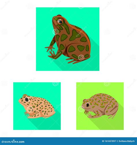 Isolated Object Of Wildlife And Bog Symbol Set Of Wildlife And Reptile Stock Vector