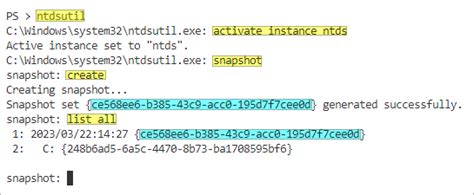 Using Ntdsutil Tool To Manage Active Directory TheITBros