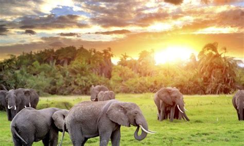 South Africa A Top Destination In 2015 The Epoch Times